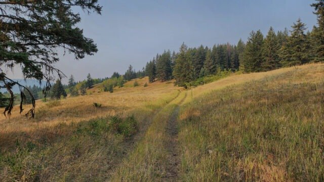 Clay Lake Loop - Ramble On