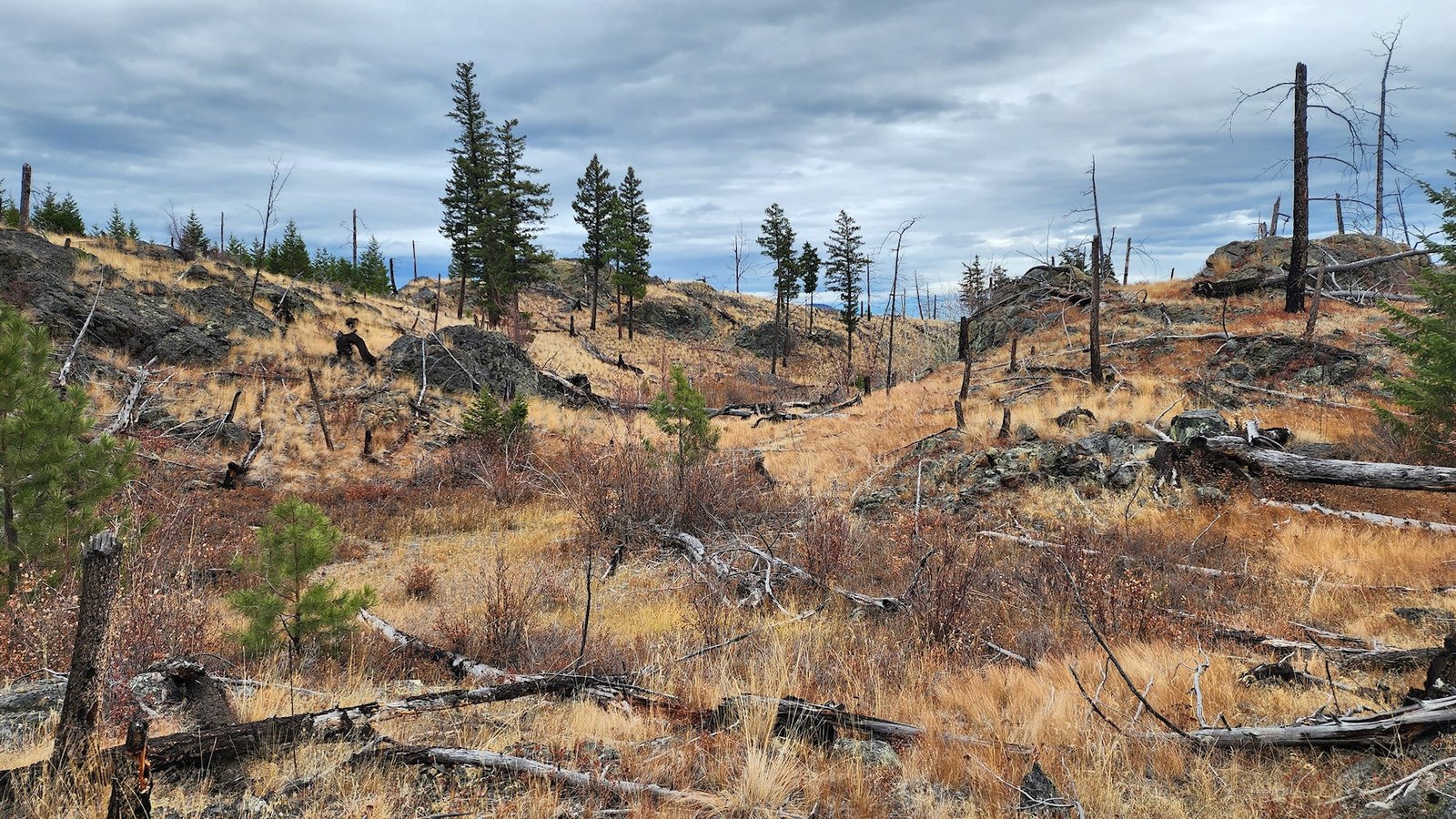 Oct. 31 - Greenstone Mountain Trails - Ramble On